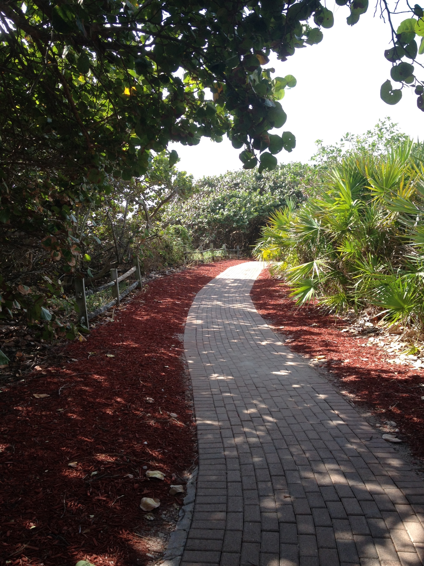 Red Reef Master Plan Update – Miller Legg