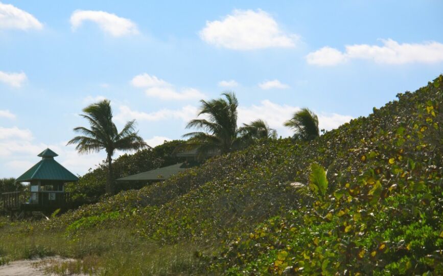 Red Reef Master Plan Update – Miller Legg