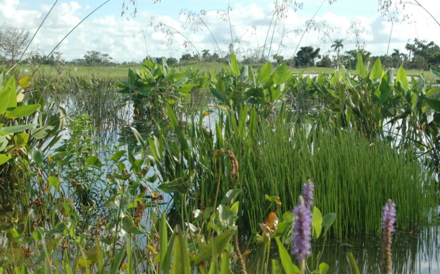 Plantation Preserve & Golf Club – Miller Legg
