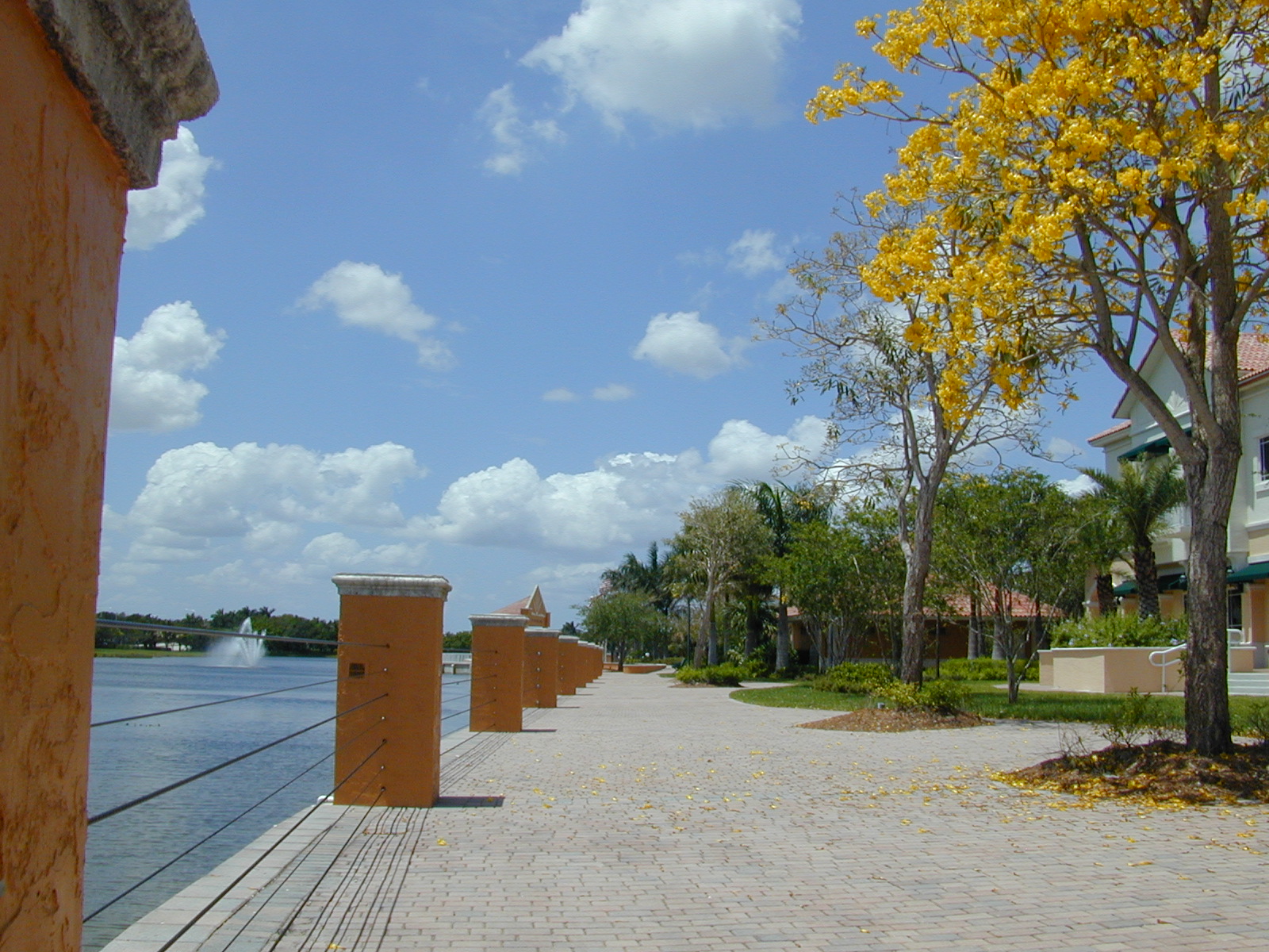 Weston Town Center – Miller Legg