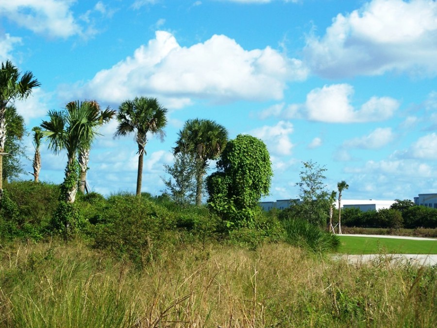 Osprey Point Golf Course – Miller Legg