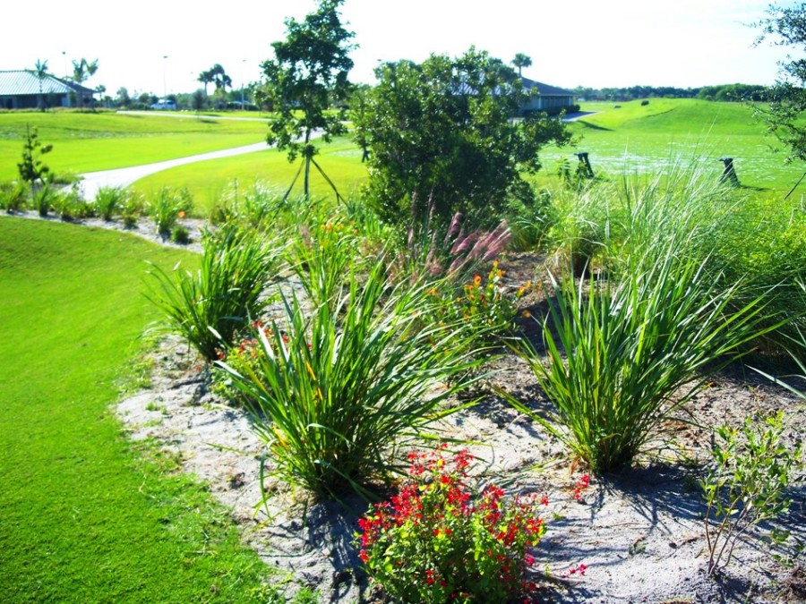 Osprey Point Golf Course – Miller Legg