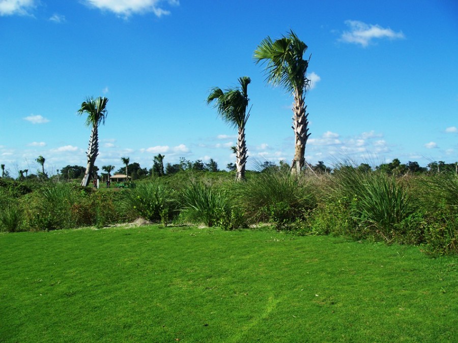 Osprey Point Golf Course – Miller Legg