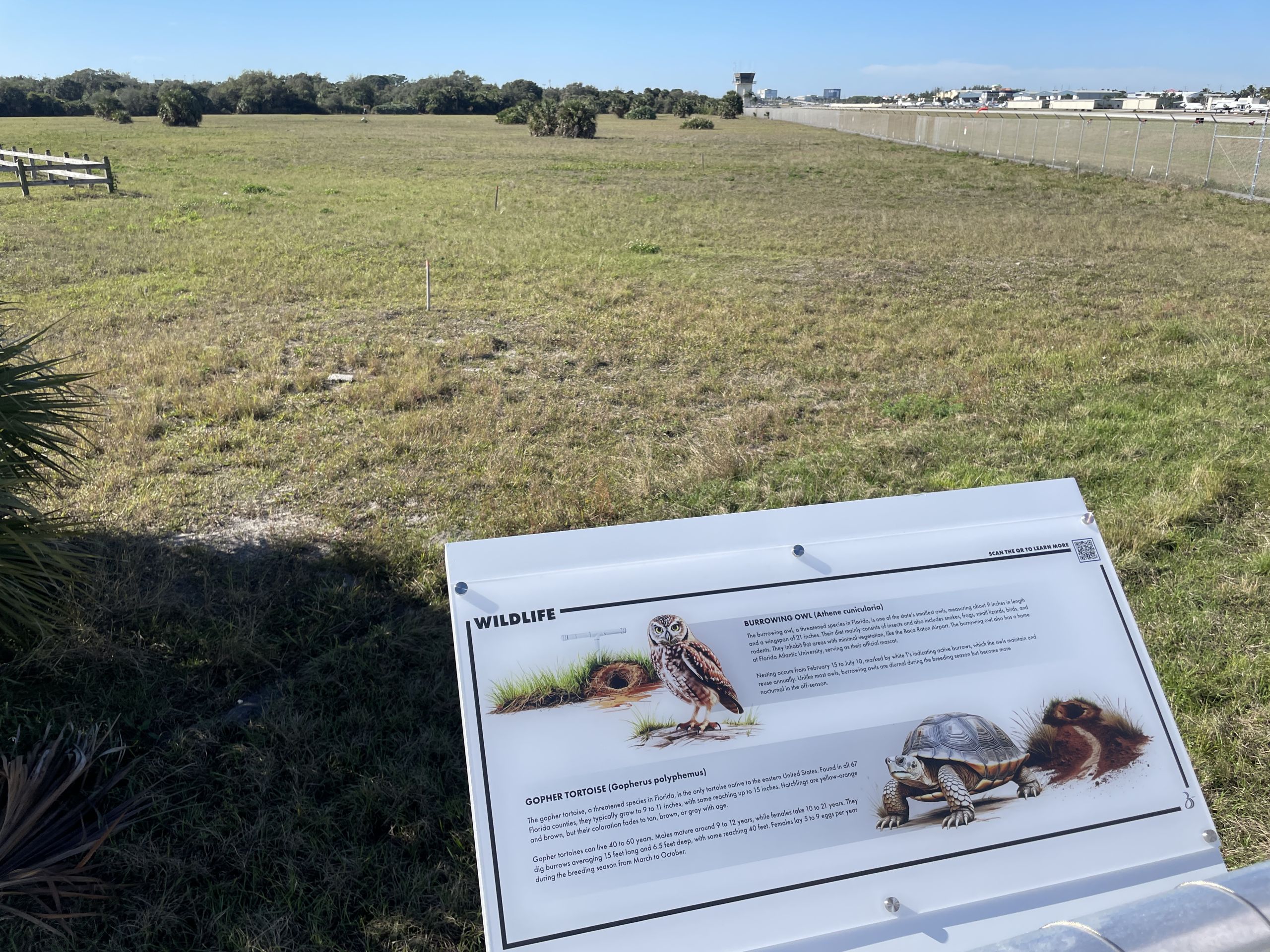 Grand Opening of the Airport Observation Area Project – Miller Legg