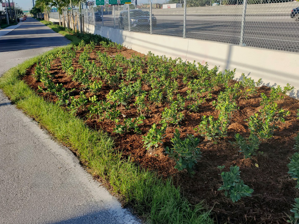 District 6 SR 826/Palmetto FEC Post Design – Miller Legg