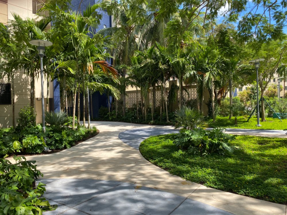 FIU Panther Promenade wins ASLA Florida Award of Excellence ...
