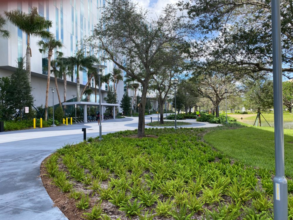 FIU Panther Promenade & Quad – Miller Legg
