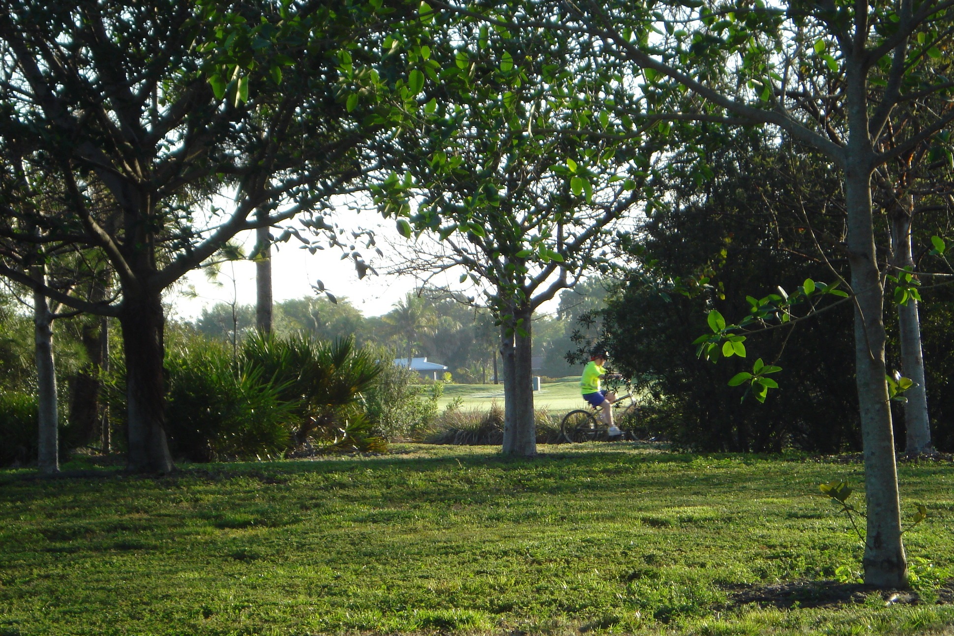 Plantation Preserve & Golf Club – Miller Legg