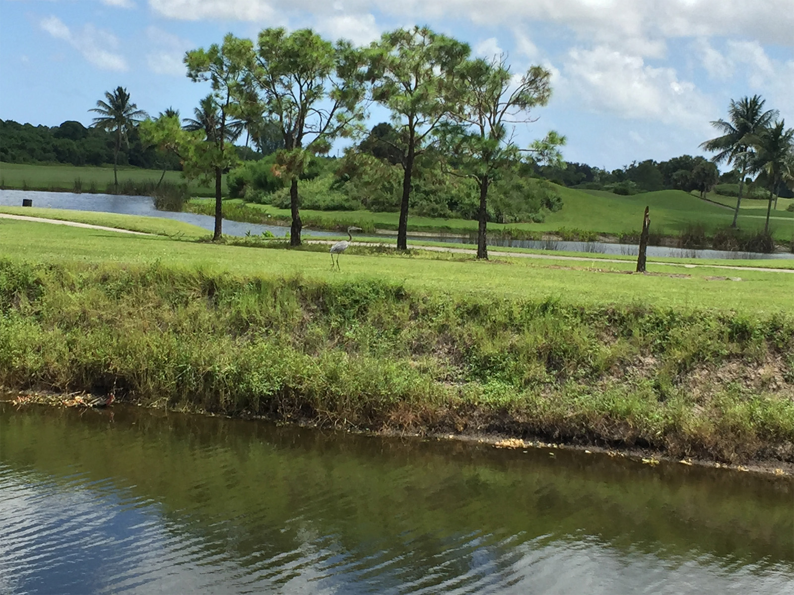 Polo Trace Golf Preliminary Wetland Investigations & Due Diligence ...