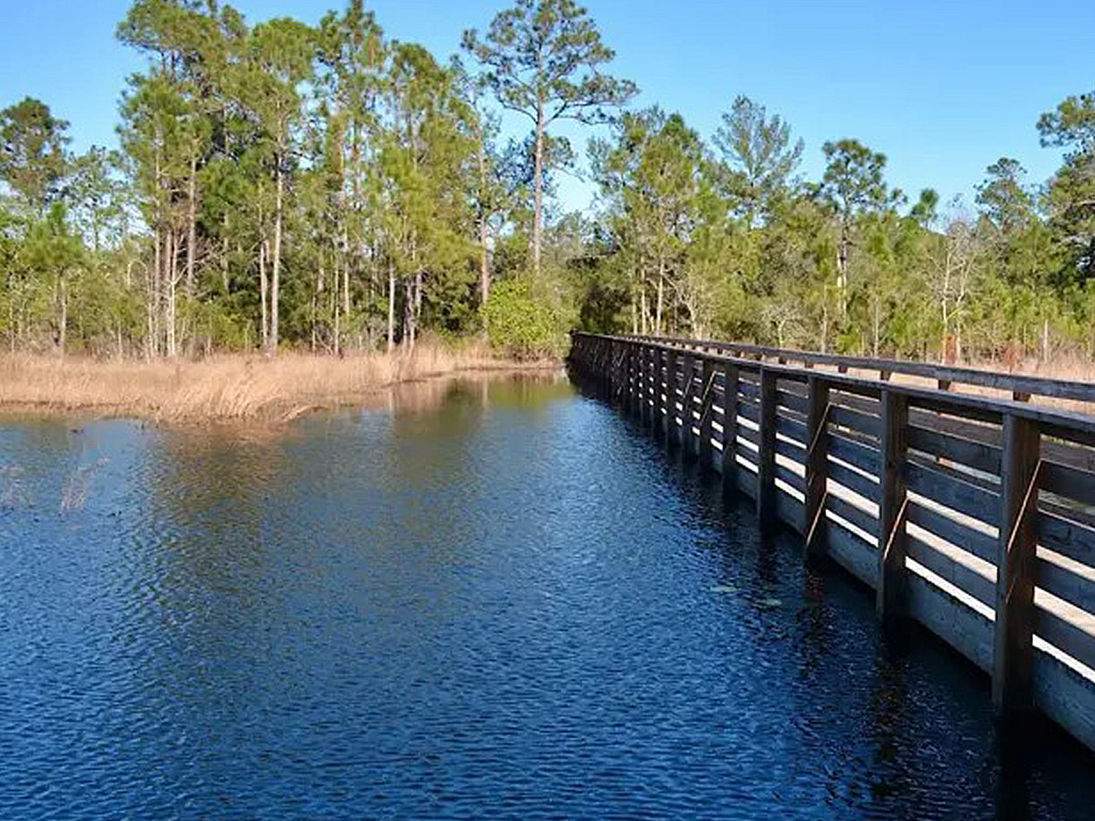 Seminole County Wilderness Areas – Miller Legg