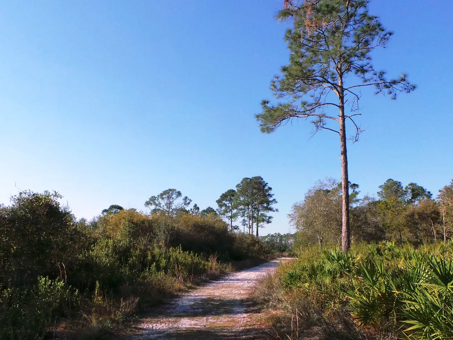 Seminole County Wilderness Areas – Miller Legg