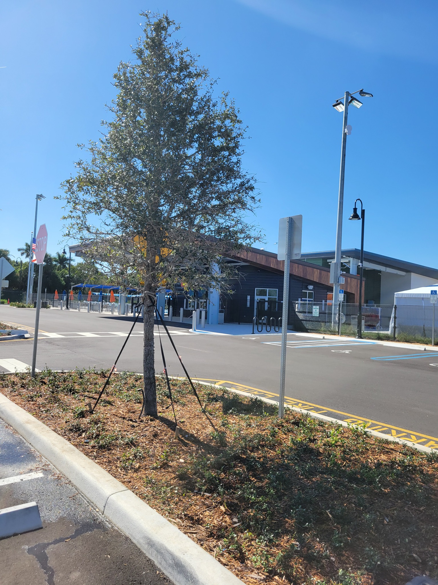 Wellington Aquatic Center is Open! – Miller Legg