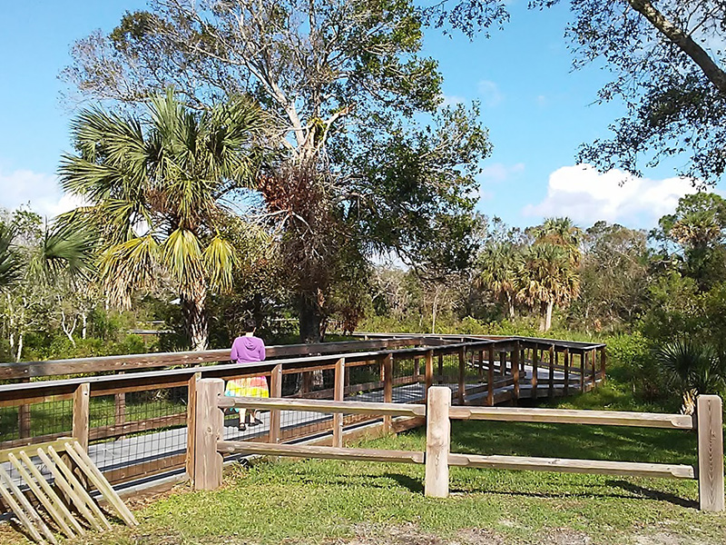 DJ Wilcox Area Boardwalk, Trails, & Observation Tower – Miller Legg