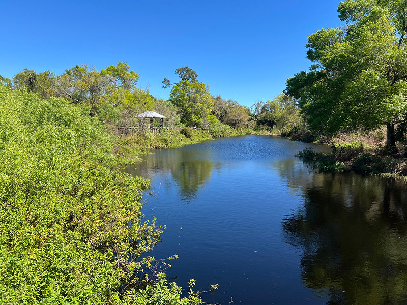 DJ Wilcox Area Boardwalk, Trails, & Observation Tower – Miller Legg