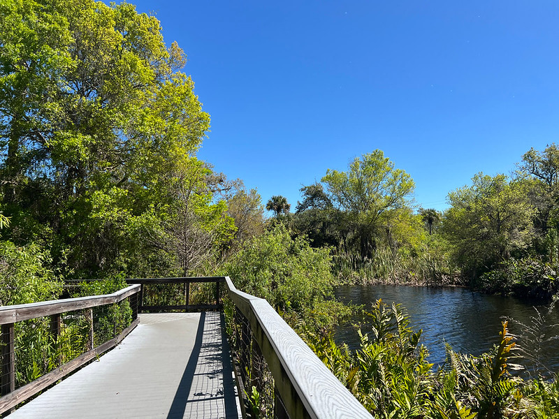 DJ Wilcox Area Boardwalk, Trails, & Observation Tower – Miller Legg