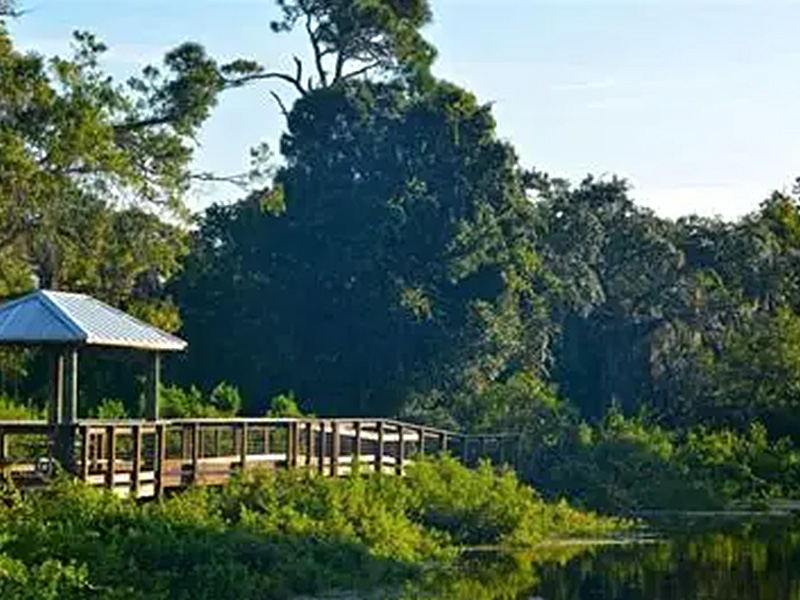 DJ Wilcox Area Boardwalk, Trails, & Observation Tower – Miller Legg