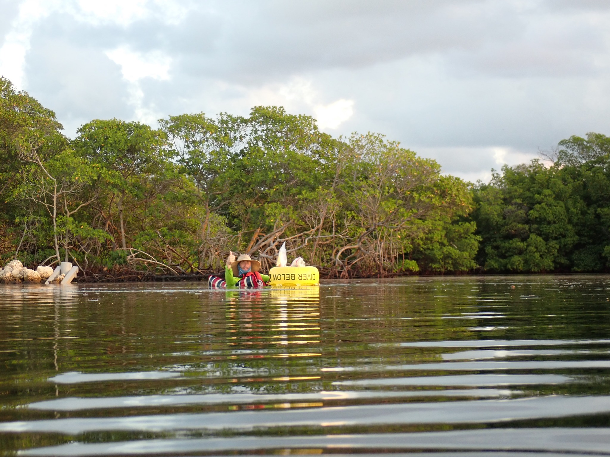 Monitoring for West Lake Park – Miller Legg